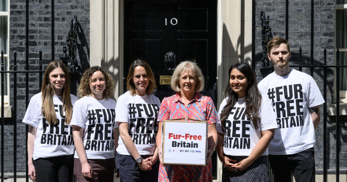 More than 1 million people call for a Fur Free Britain - Ruth Jones for ...